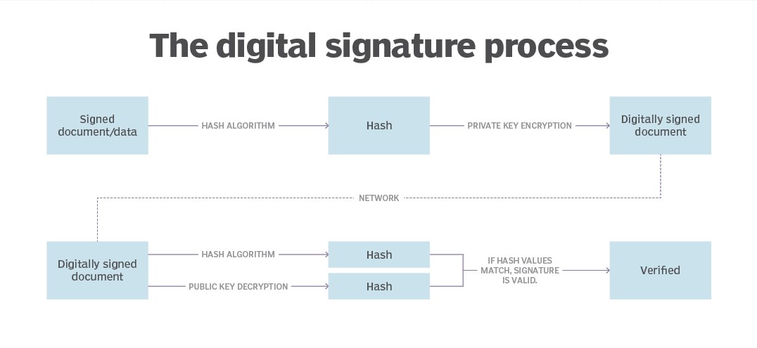 Hashing vs Encryption